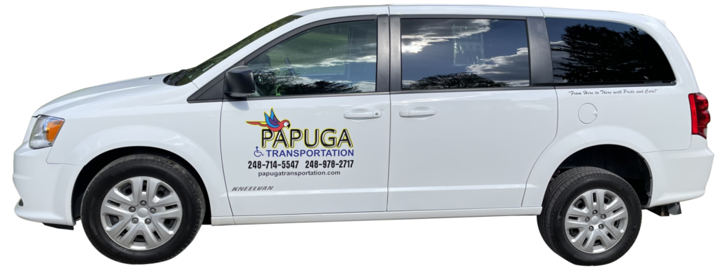 Papuga Transportation
